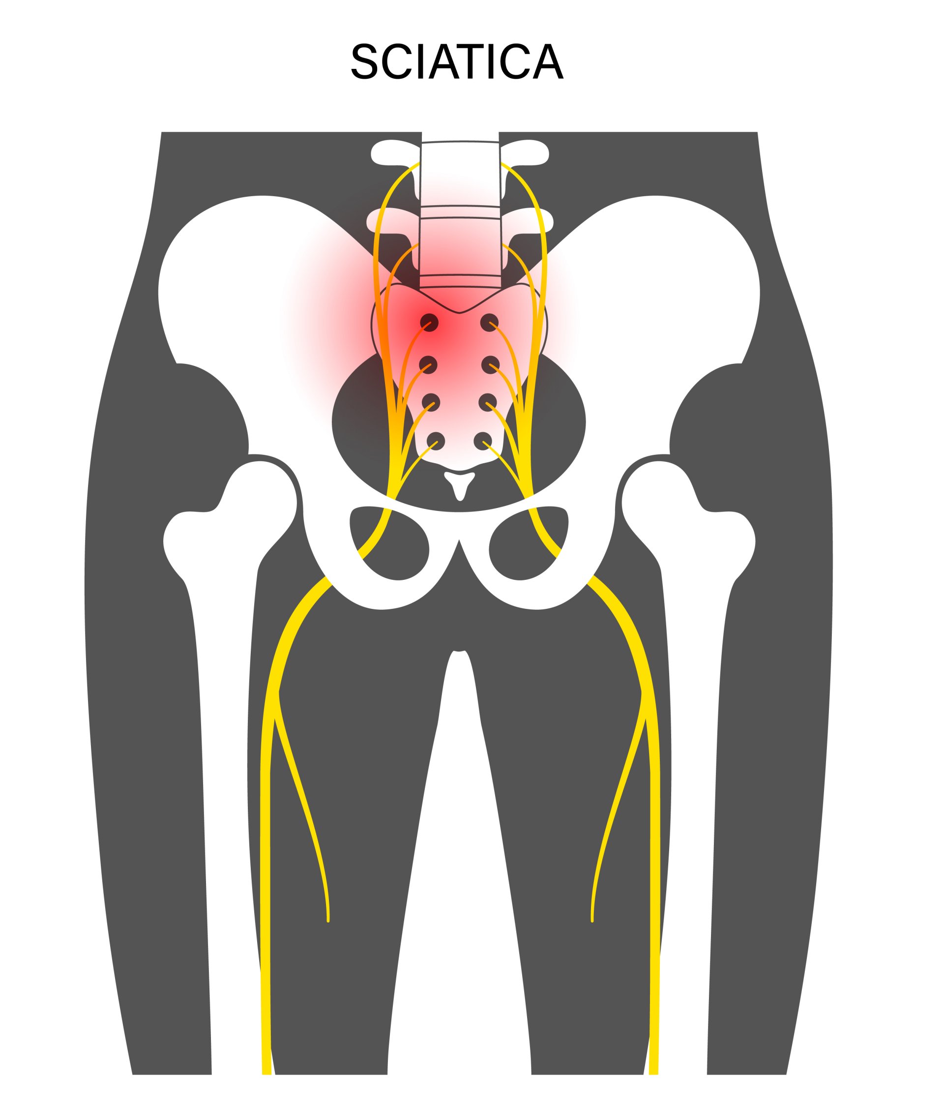 Education – Coastal Carolinas Interventional Spine
